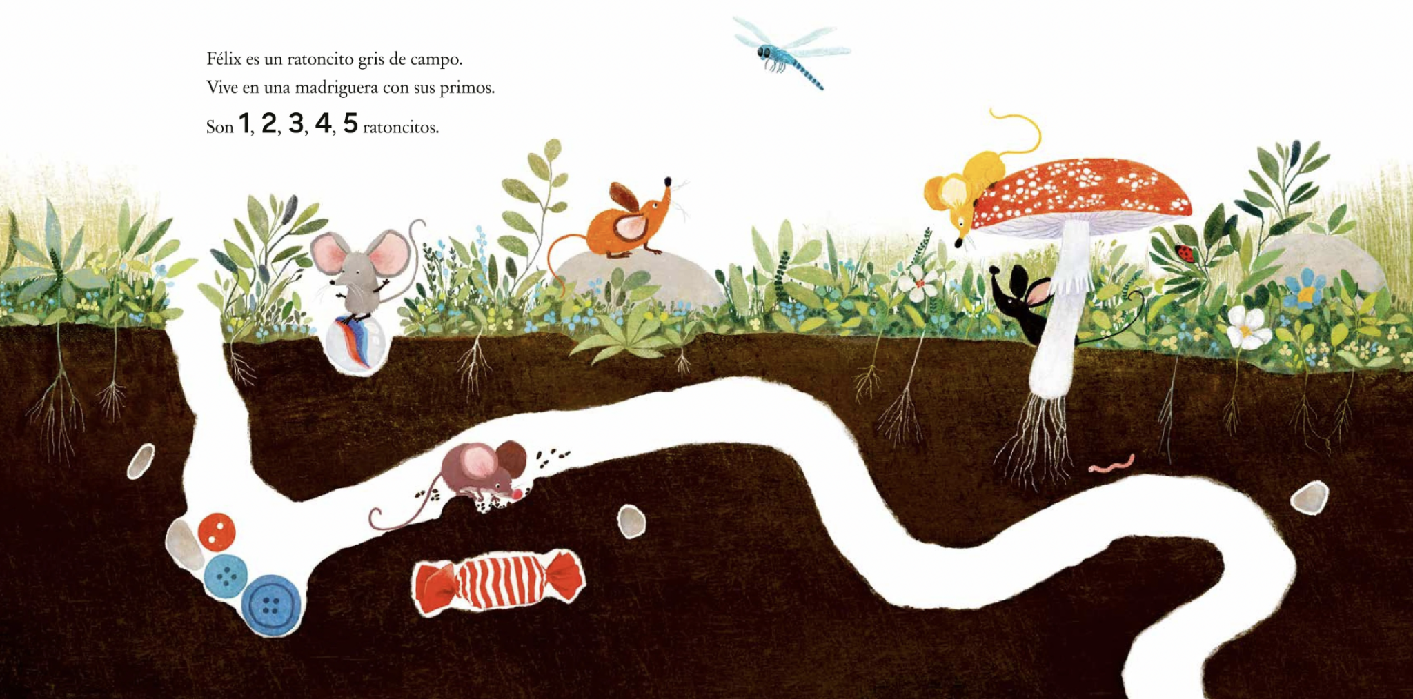 CINCO RATONCITOS - KUBO KIDS