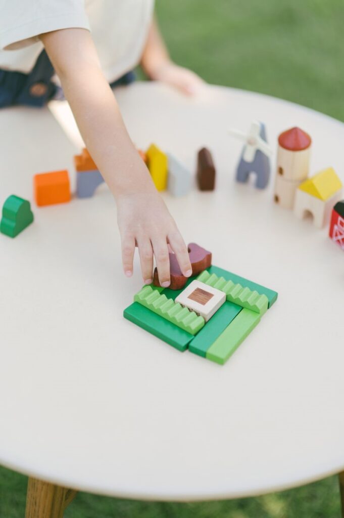 Bloques Campestre Plantoys - KUBO KIDS